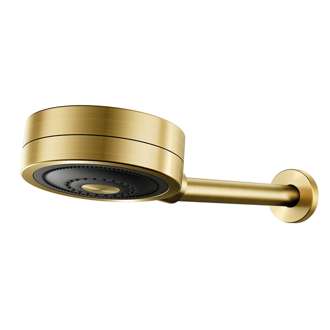 Chuveiro Novo Technoshower Ouro Escovado Chuveiro Novo Technoshower